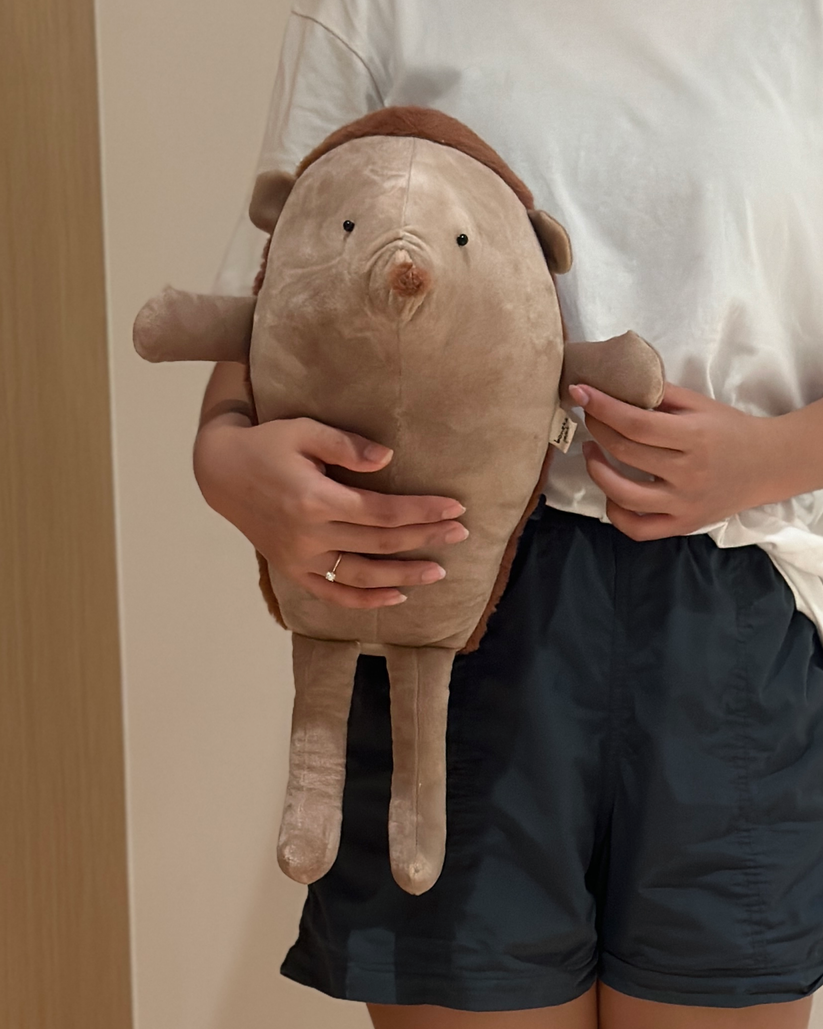 Timmy the Hedgehog – Boneka Jelek